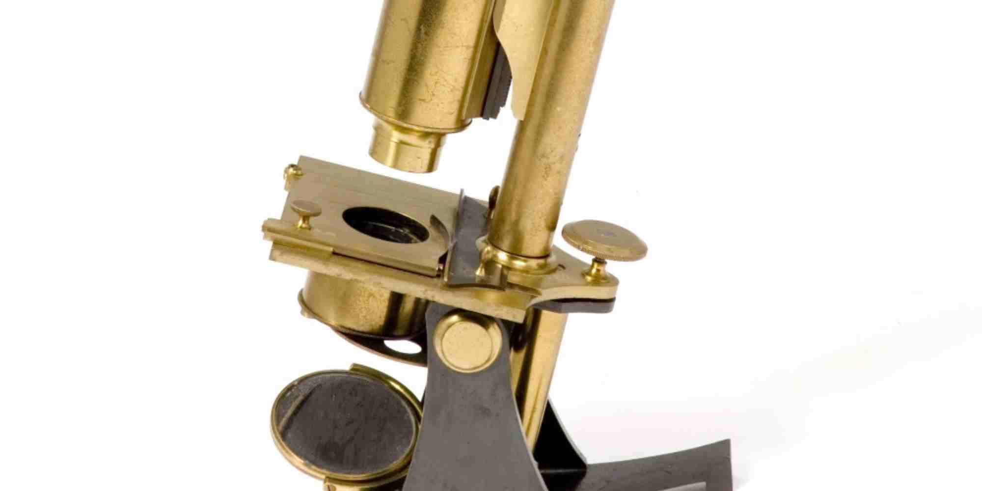 Seeing and Believing: Microscopy and the early Royal Society | History ...