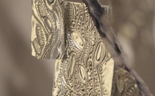 Art in exhibitions | History of Science Museum