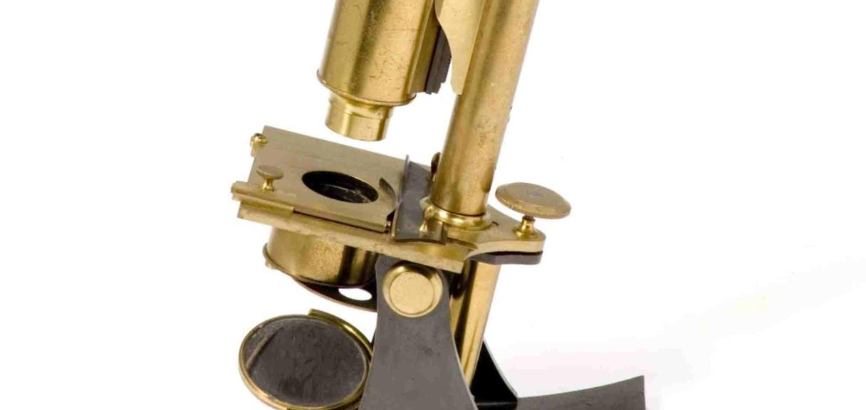 Seeing and Believing: Microscopy and the early Royal Society | History ...