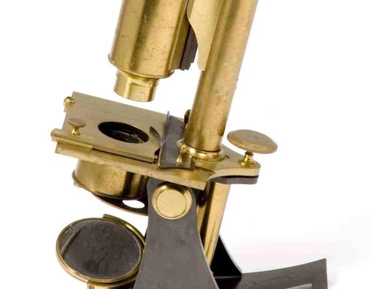 Seeing and Believing: Microscopy and the early Royal Society | History ...