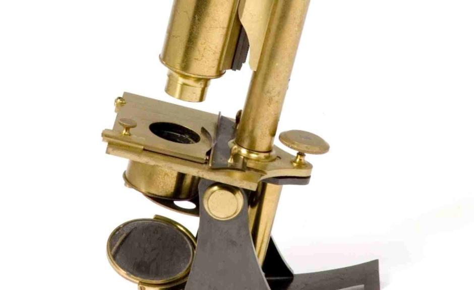 Seeing and Believing: Microscopy and the early Royal Society | History ...